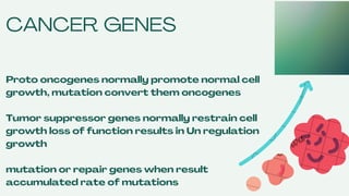 BIOCHEMISTRY OF CANCER, MOLECULAR BIOLOGY OF CANCER, TUMOR SUPPRESSOR ...