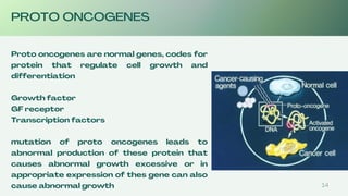 BIOCHEMISTRY OF CANCER, MOLECULAR BIOLOGY OF CANCER, TUMOR SUPPRESSOR ...