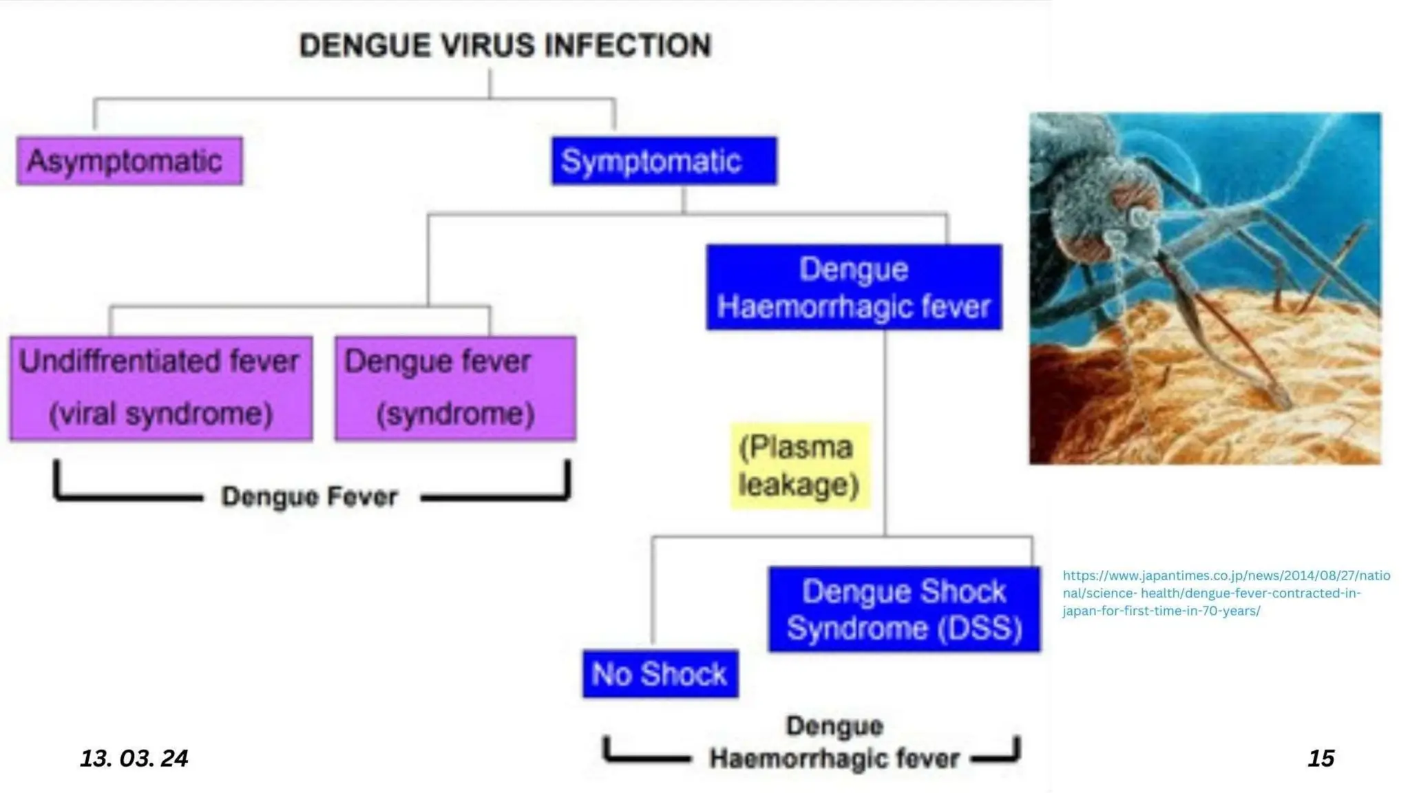 DENGUE VIRUS AND DENGUE HEMORRHAGIC FEVER | PPTX