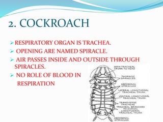 Presentation - PPEDU'10 | PPTX