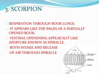 Presentation - PPEDU'10 | PPTX