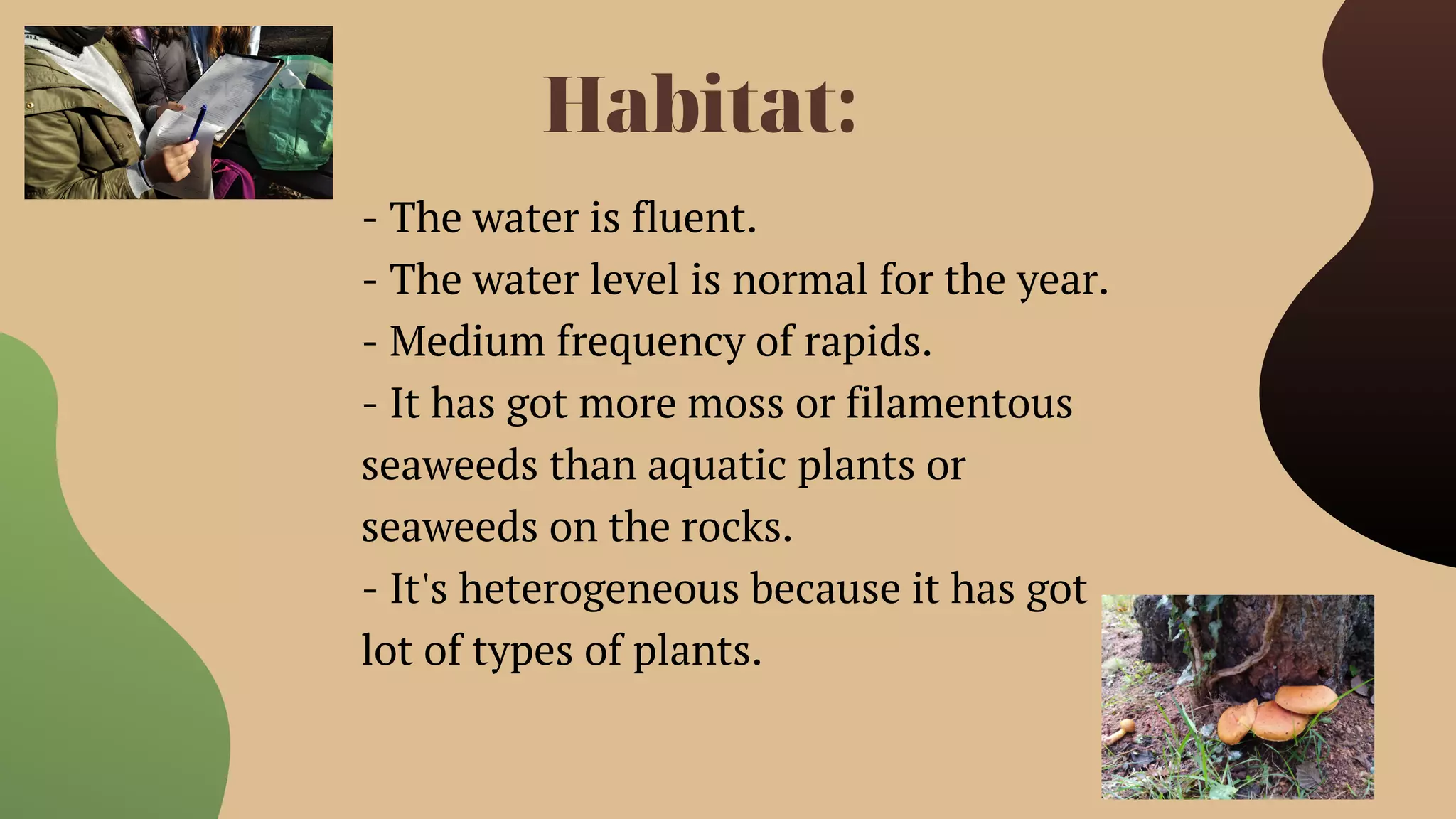 Rivers Project | PPT