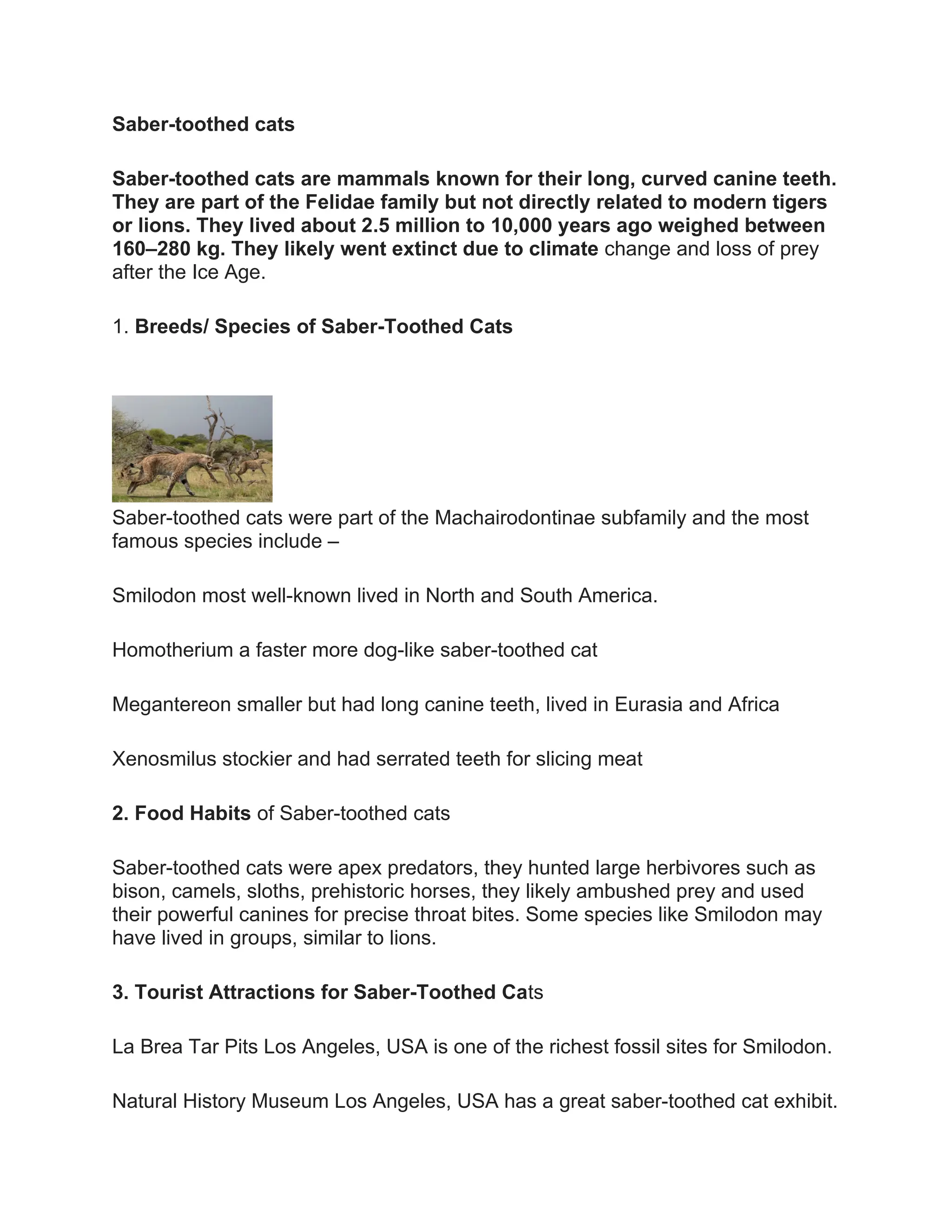 Saber-toothed cats are mammals known for their long, curved canine ...