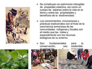 Saberes en medicina tradicional.pptx