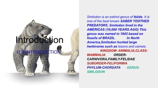 Saber tooth tiger.pptx (Smilodon presentation ) = Extinct Animals | PPTX