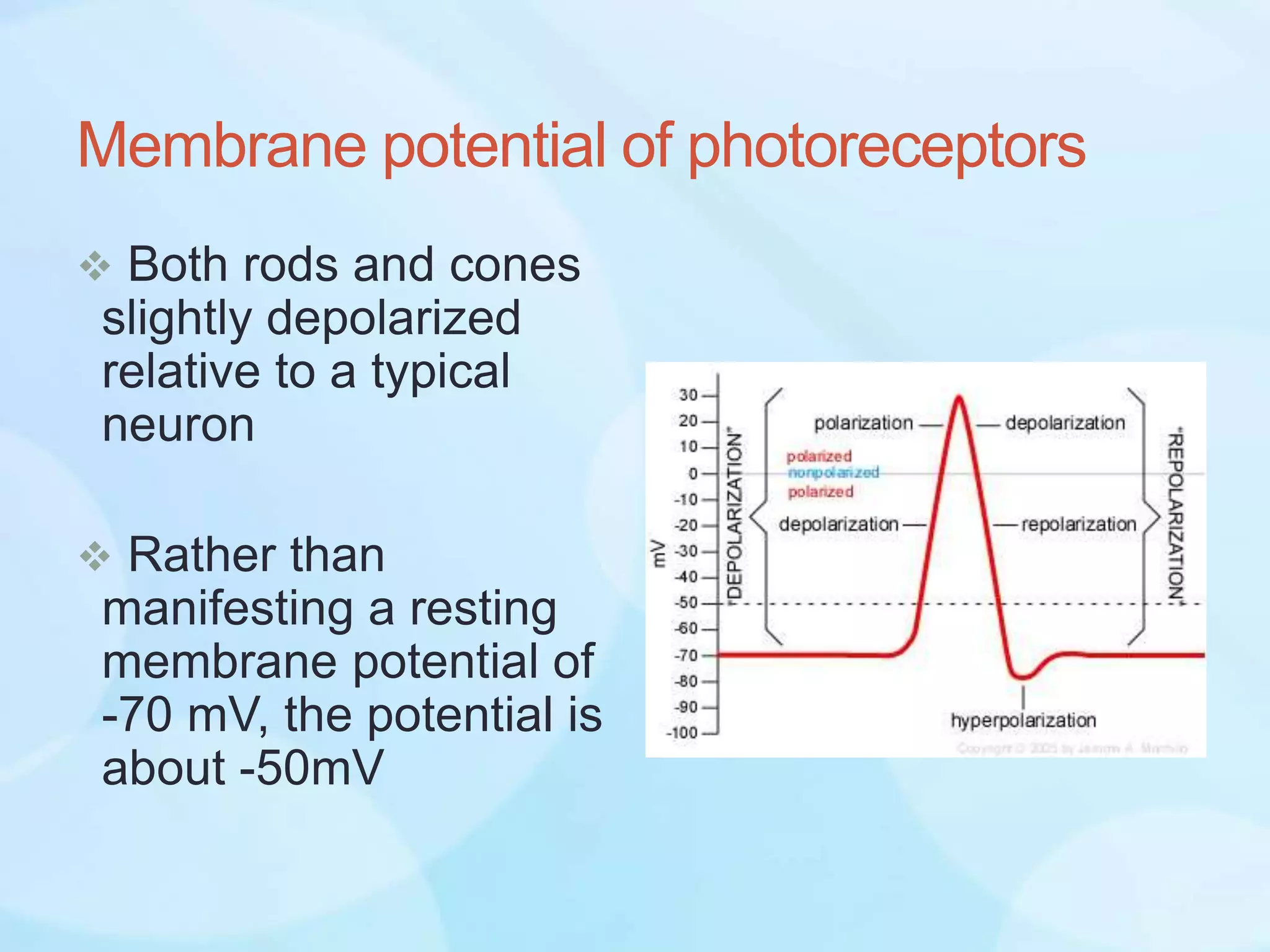 vision biochemistry, role of vitamin A and xerophthalmia | PPTX