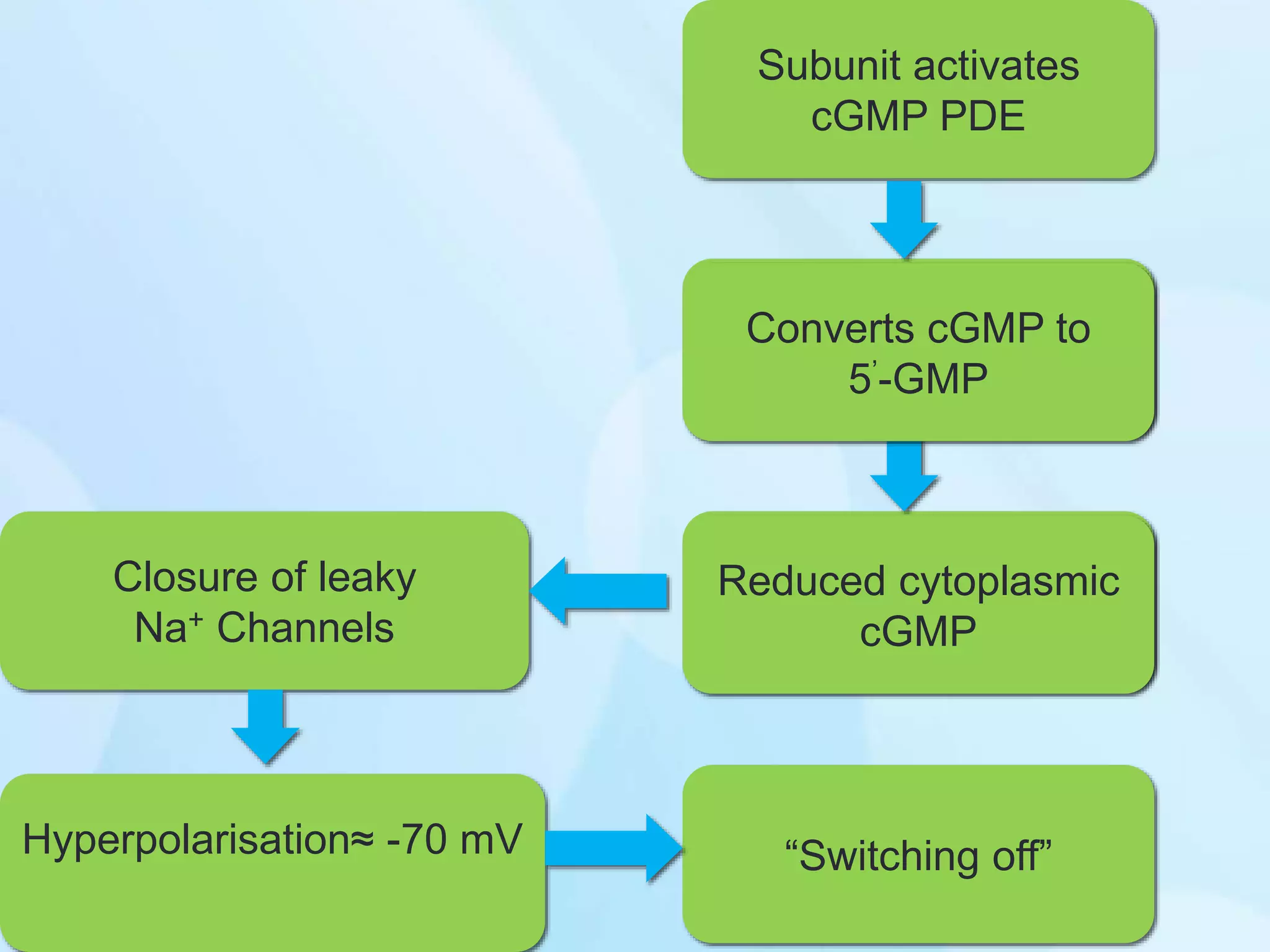 vision biochemistry, role of vitamin A and xerophthalmia | PPTX