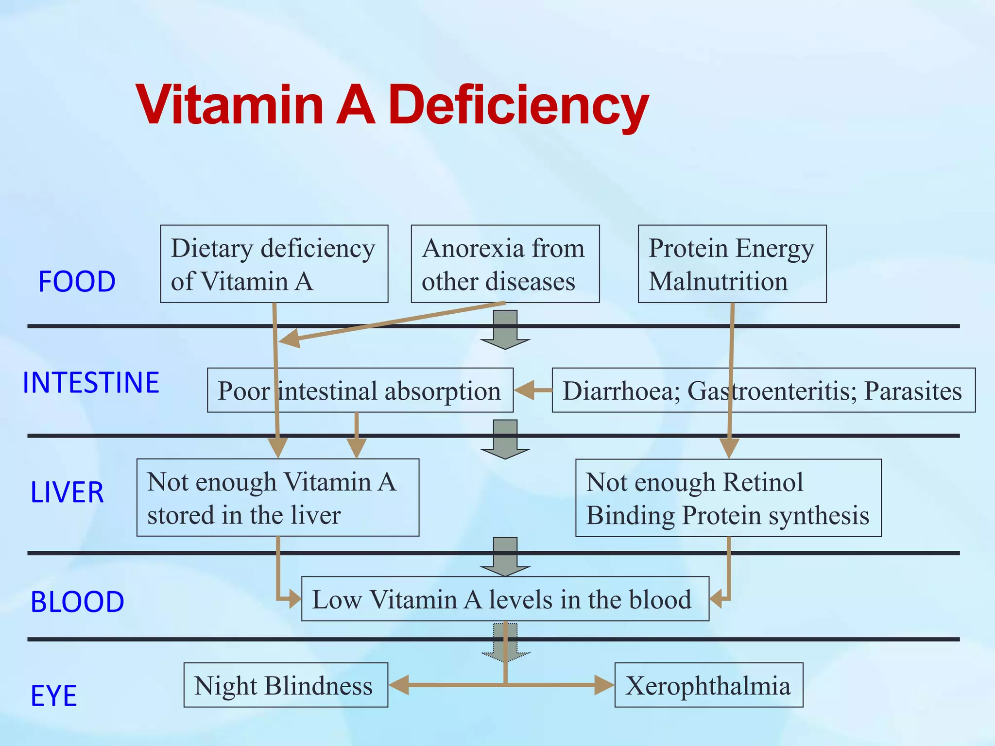 vision biochemistry, role of vitamin A and xerophthalmia | PPTX
