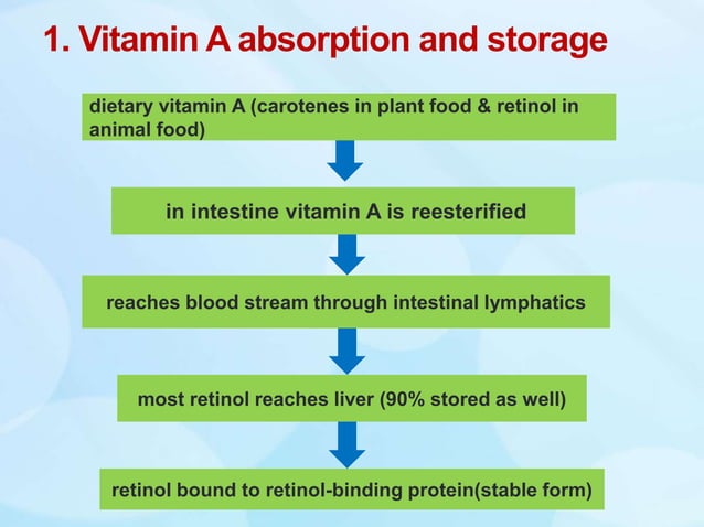 vision biochemistry, role of vitamin A and xerophthalmia | PPTX | Eye ...