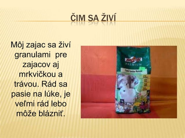 Sabinka a zajačik | PPTX