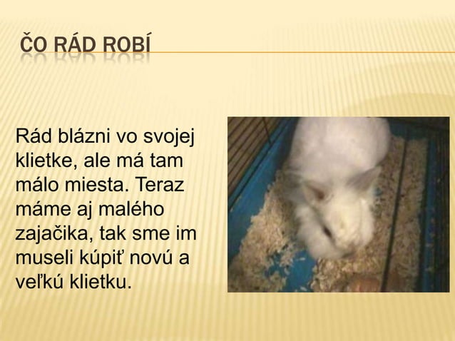 Sabinka a zajačik | PPTX