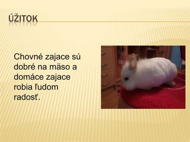 Sabinka a zajačik | PPTX