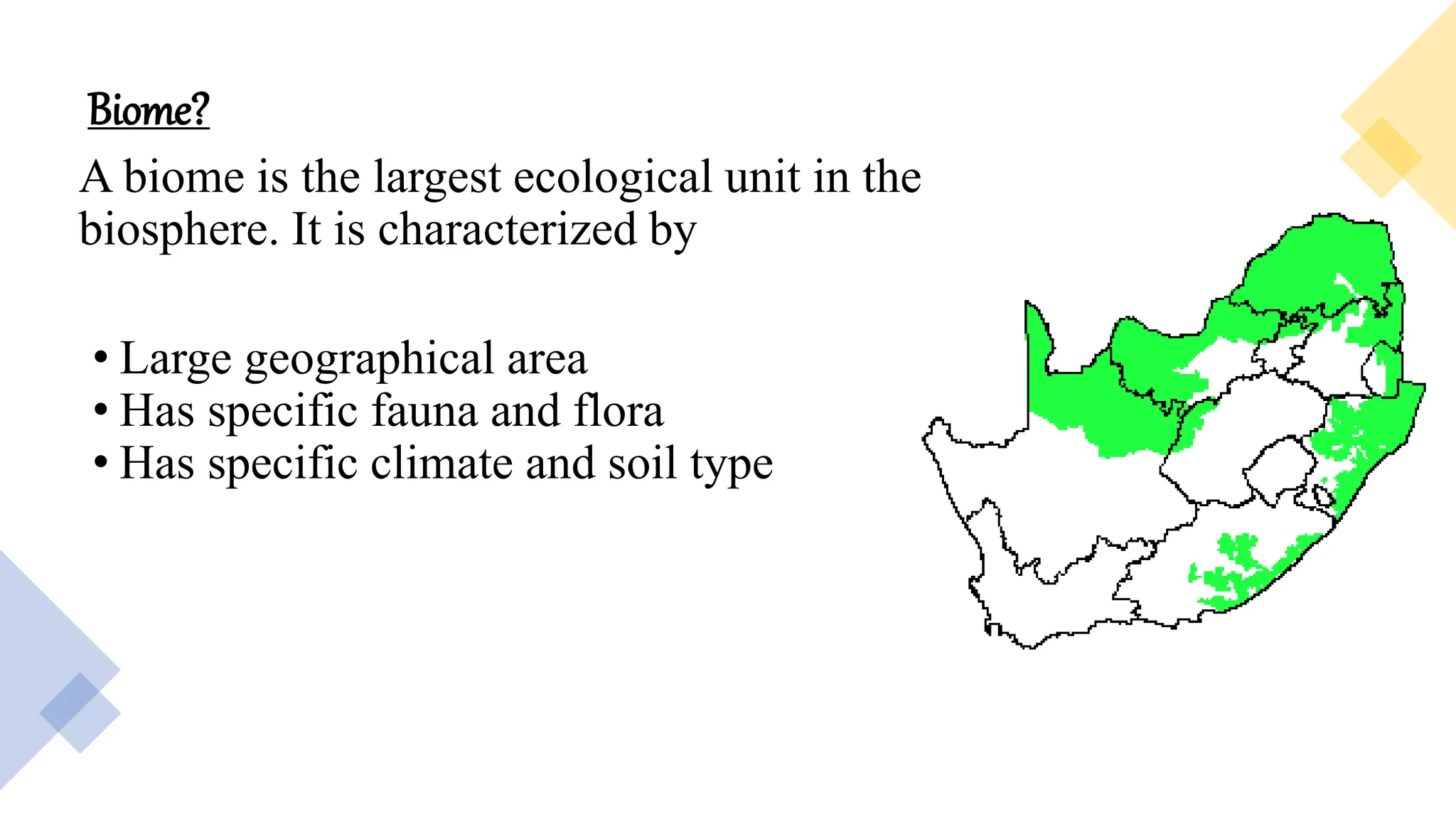 GRADE 10 SOUTH AFRICAN BIOMES PRESENTATION .pptx