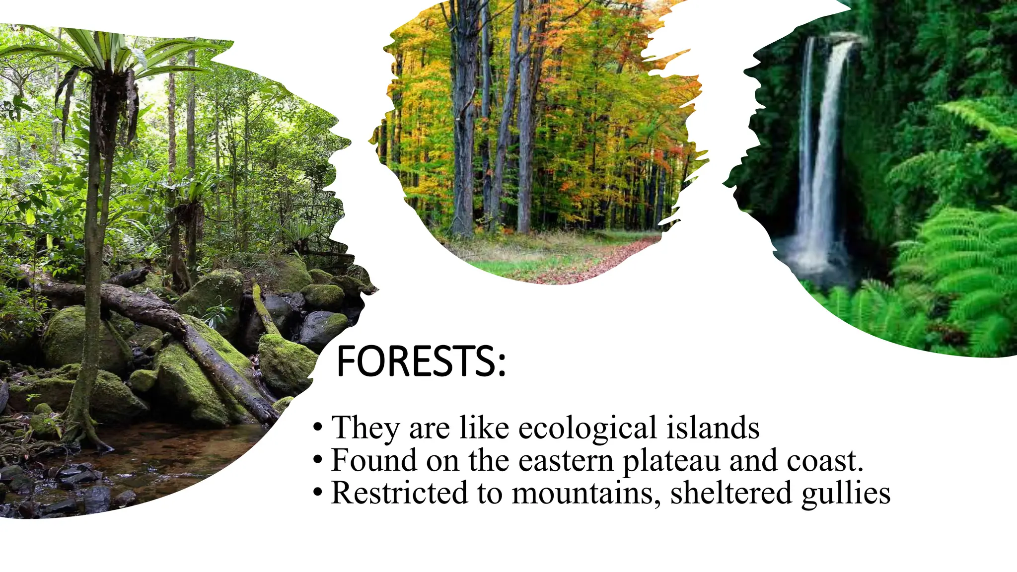 GRADE 10 SOUTH AFRICAN BIOMES PRESENTATION .pptx | Geography | Science