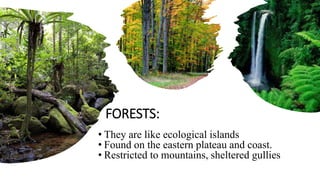 GRADE 10 SOUTH AFRICAN BIOMES PRESENTATION .pptx