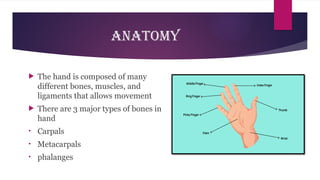 Xray procedure for finger xray by sabiq .pptx