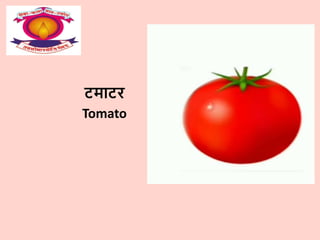 Sabjiya.pptx