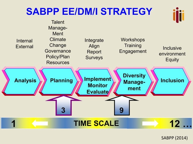 The SABPP Employment Equity, Diversity & Inclusion Professional ...