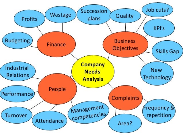 Ideas on conducting a Company Needs Analysis