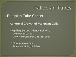 Sabrina Scarborough Endometrium, Fallopian Tubes, Gynecology, Gynecologist Chpt 10 | PPT