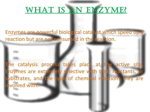Measurement of ENZYME ACTIVITY | PPT | Chemistry | Science