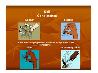 SAC 101 Lecture 16 Consistenchdhchchchxupcucy.ppt