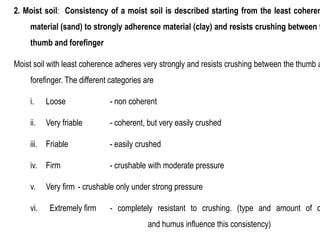 SAC 101 Lecture 16 Consistenchdhchchchxupcucy.ppt