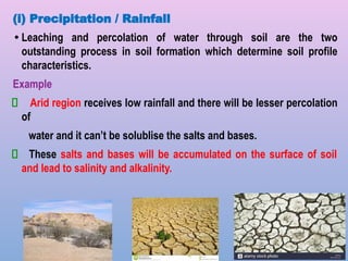 SOIL SCIENCE PPT 8 about the soil and environment | PDF