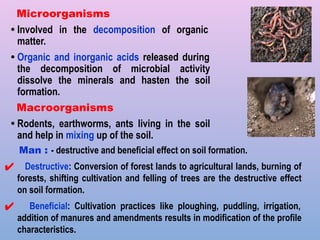 SOIL SCIENCE PPT 8 about the soil and environment | PPT