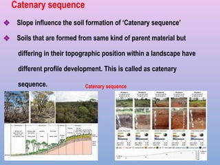 SOIL SCIENCE PPT 8 about the soil and environment | PPT
