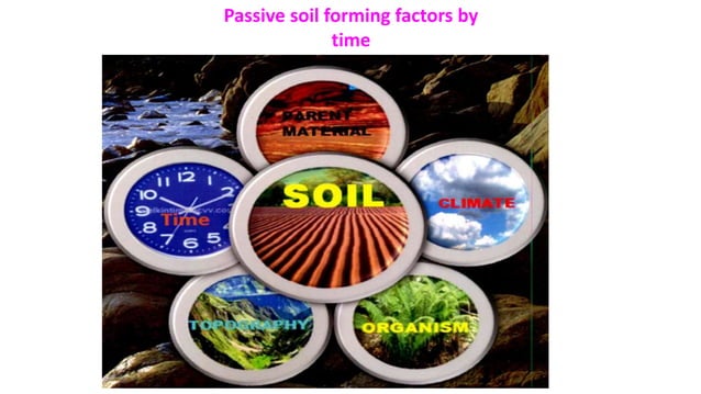 Sac 201 ppt | PPT | Free Download