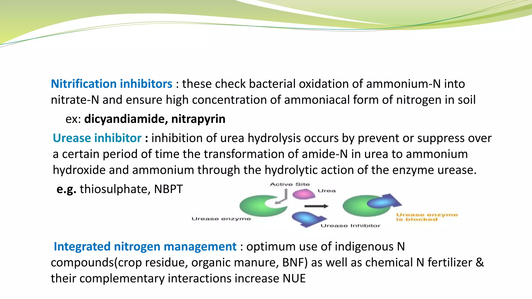 Nitrogen use efficiency | PPTX
