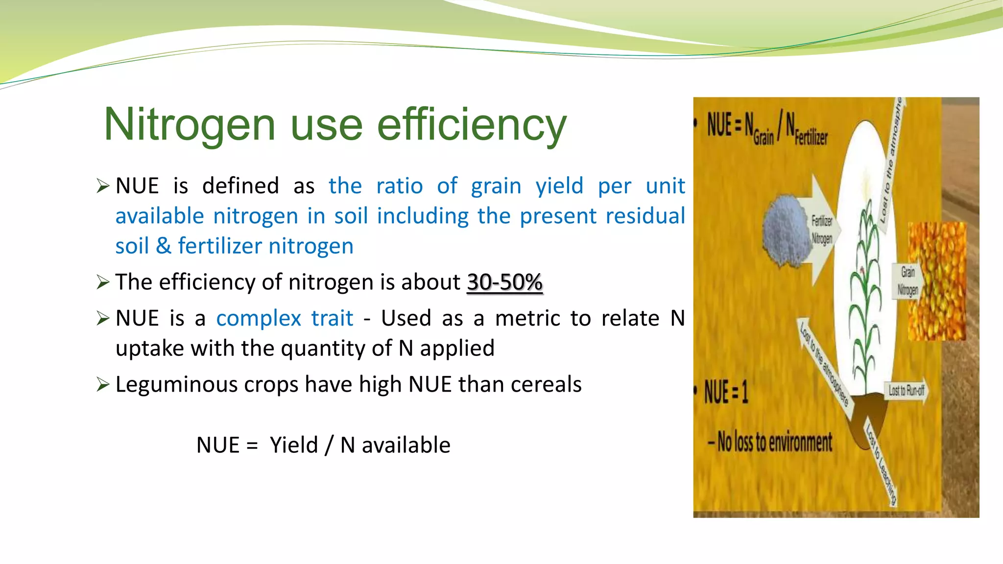 Nitrogen use efficiency | PPTX