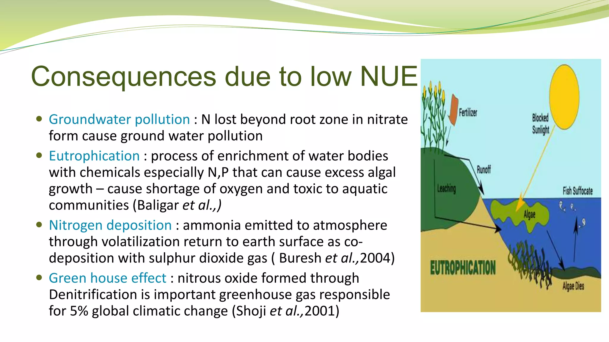 Nitrogen use efficiency | PPTX