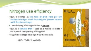 Nitrogen use efficiency | PPTX