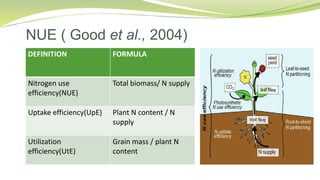 Nitrogen use efficiency | PPTX