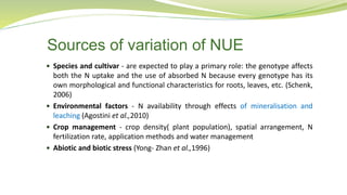 Nitrogen use efficiency | PPTX