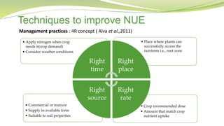 Nitrogen use efficiency | PPTX