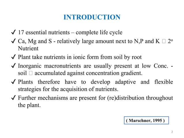 Mechanisms of secondary nutrient movement into and within the plant | PPT