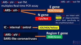 SARS-CoV-2 Real-TM | SACACE | PPT