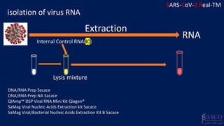 SARS-CoV-2 Real-TM | SACACE | PPT