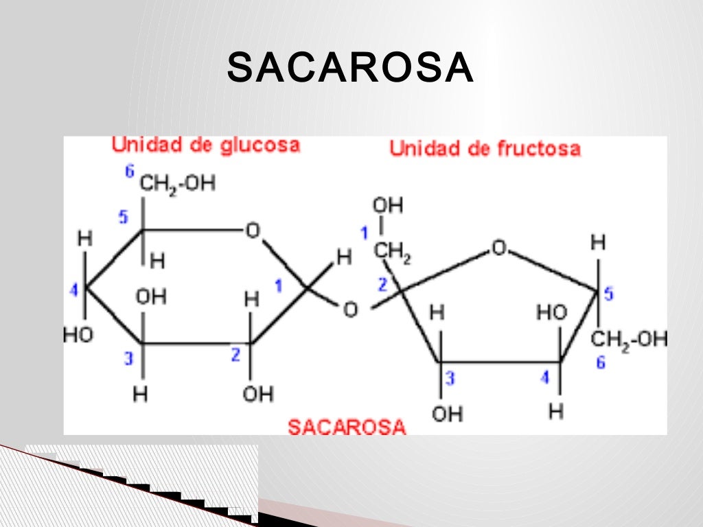 Sacarosa Peso Molecular