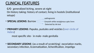 Sacbies and Peduculosis Hominis and capitis | PPTX