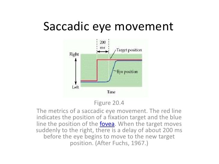 Saccadic eye movement