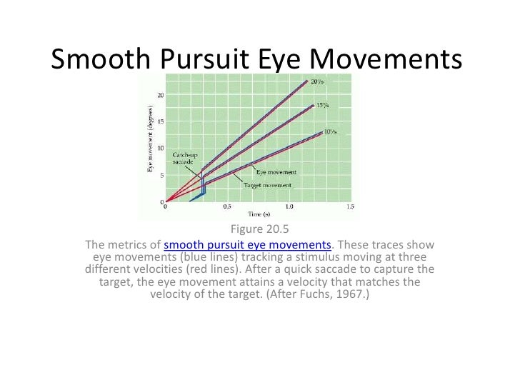 Exercises For Pursuit Eye