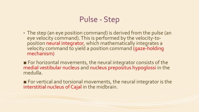 Saccadic Eye Movement | PPTX | Eye and Vision Conditions | Diseases and ...