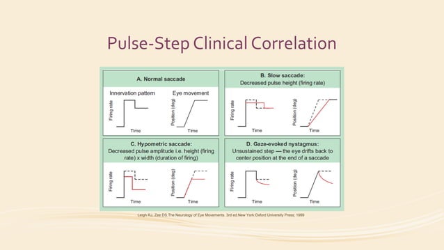 Saccadic Eye Movement | PPTX | Eye and Vision Conditions | Diseases and ...