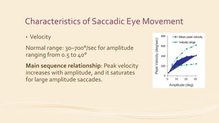 Saccadic Eye Movement | PPT