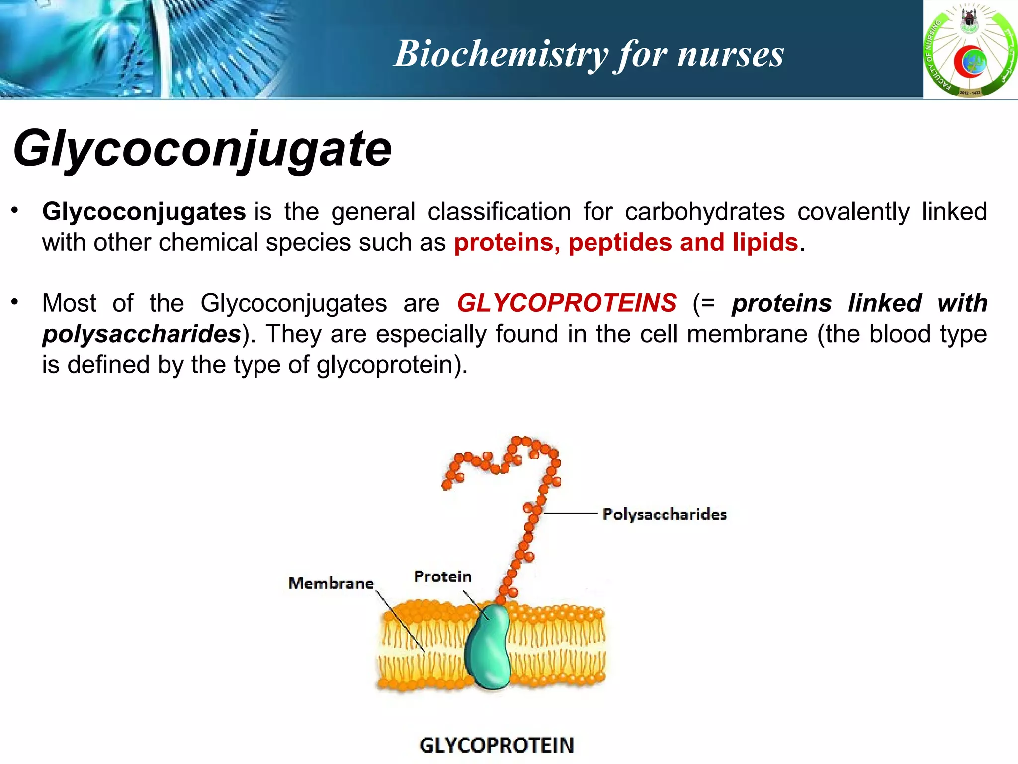 Saccharides (carbohydrates) | PPT