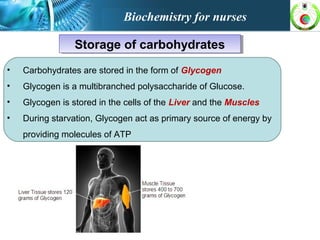 Saccharides (carbohydrates) | PPT